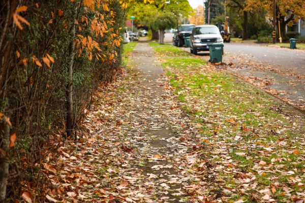 Leaf Collection - City of Independence